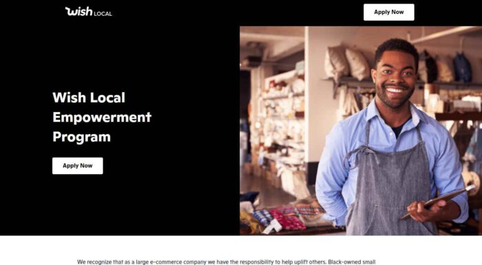 The Wish Local Empowerment Program - OBT Next | The Master Plan For The ...